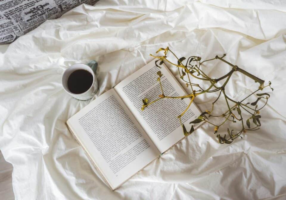 15 Spiritual Meanings When You Dream About Books