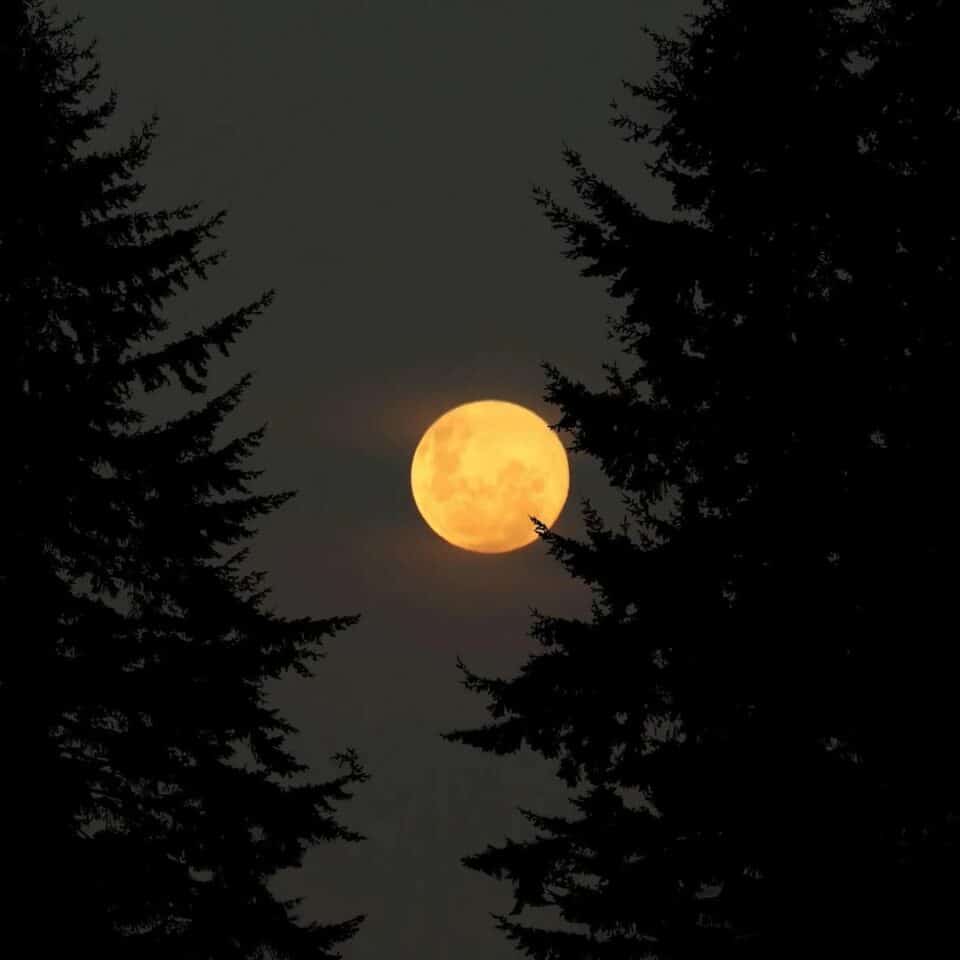 10 Spiritual Meanings When You Dream About The Moon