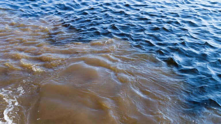 11 Spiritual Meanings When You Dream About Muddy Water